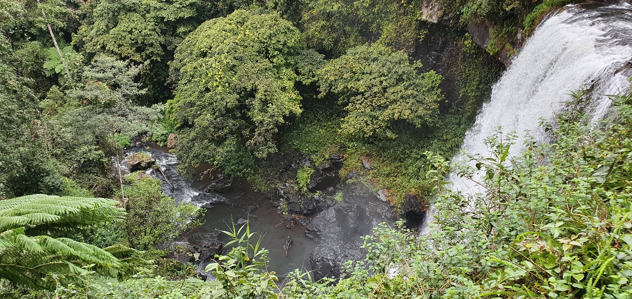 Queensland Road Trip - Waterfalls | Travel The Bucket List