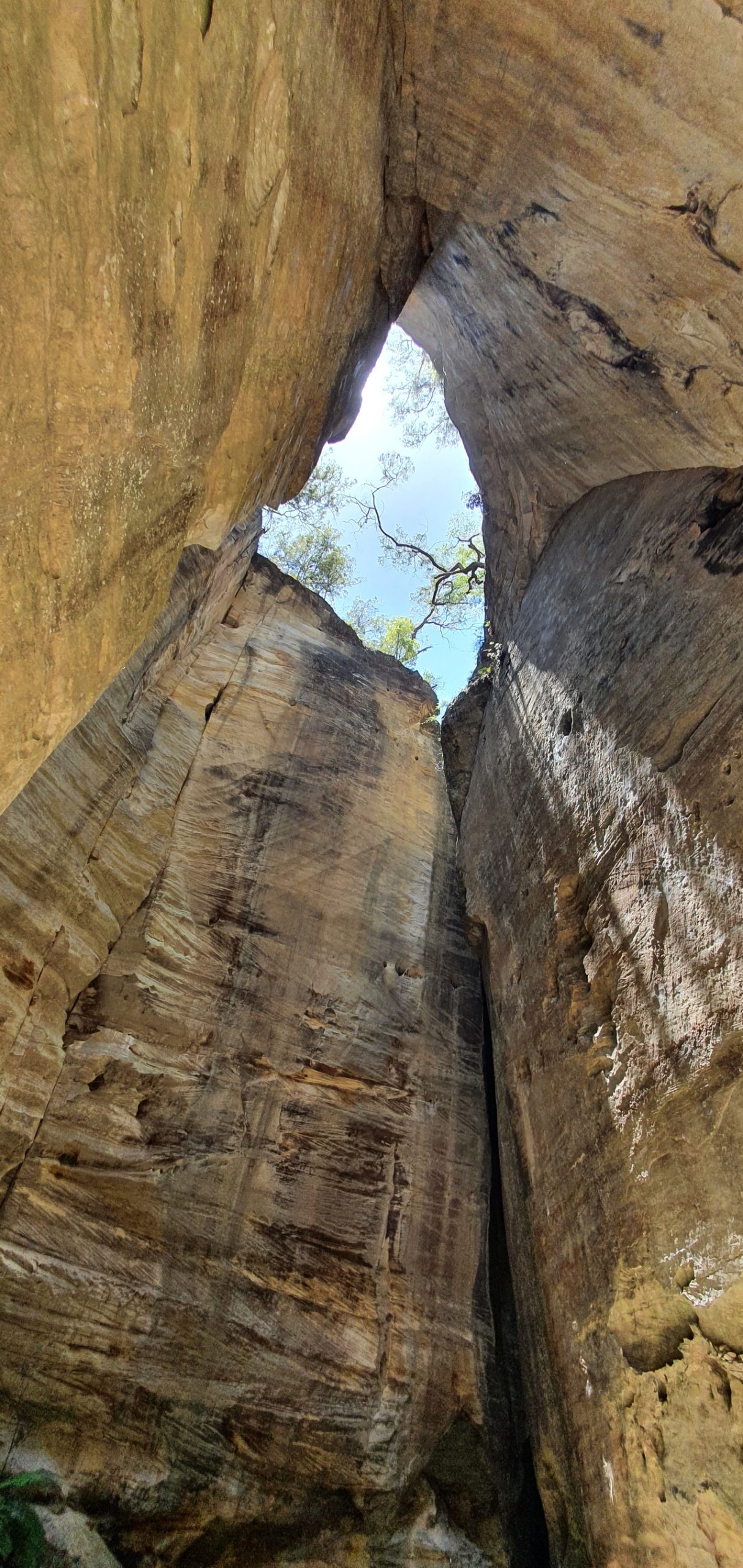 Hike Carnarvon Gorge Queensland | Travel The Bucket List